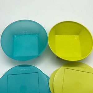 Tupperware | Kitchen | Tupperware Outdoor Dining Bowl Set Of 2 | Poshmark